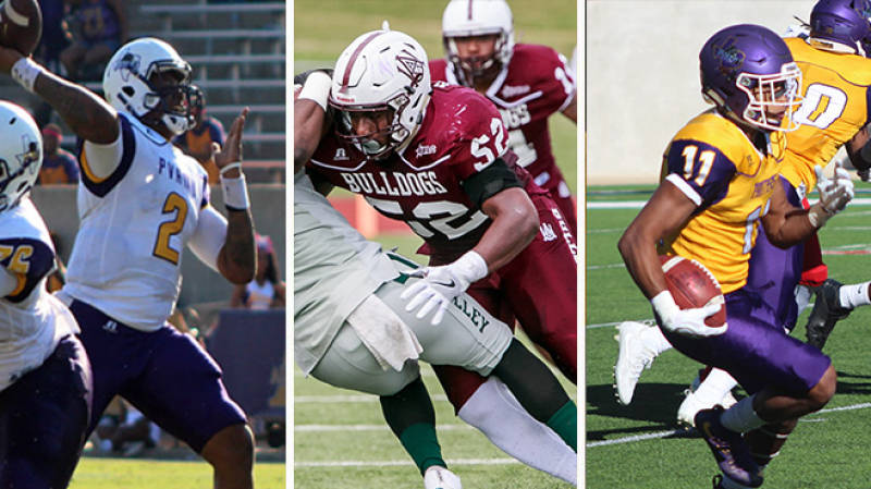 SWAC football Players of the Week - Nov. 20